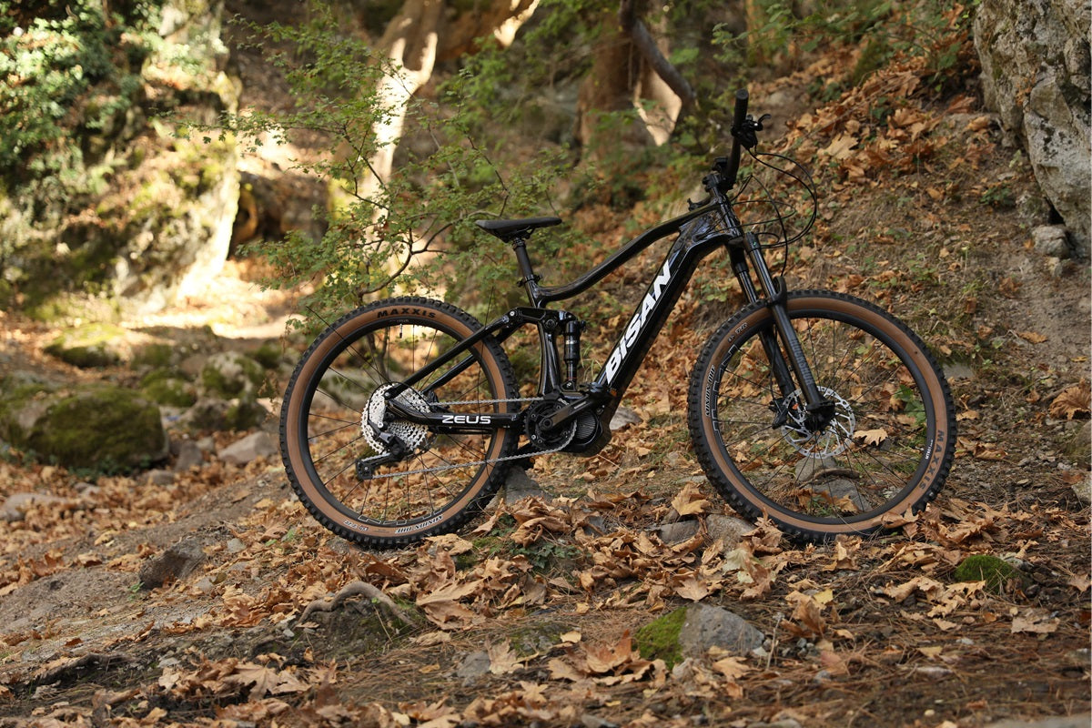 Bisan Bicycle Online Store